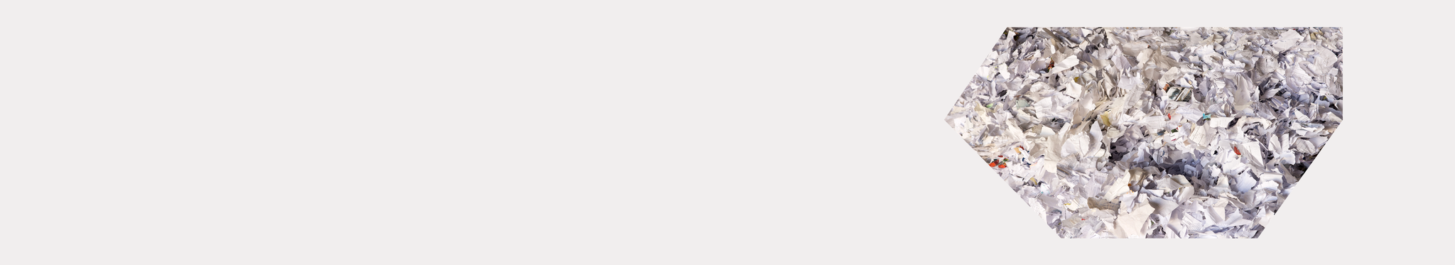 Altpapier entsorgen: Papier-Recycling & mehr | Containerdienst24